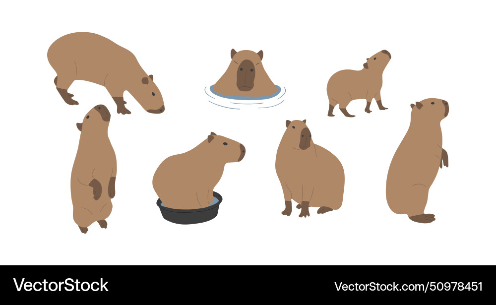 Capybara 4 Royalty Free Vector Image - VectorStock