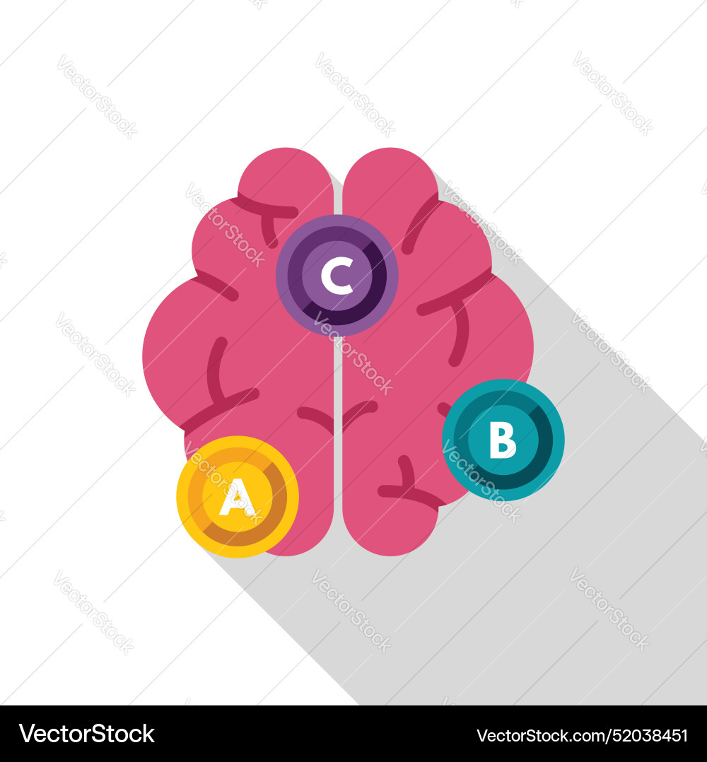 Human brain the concept of learning Royalty Free Vector