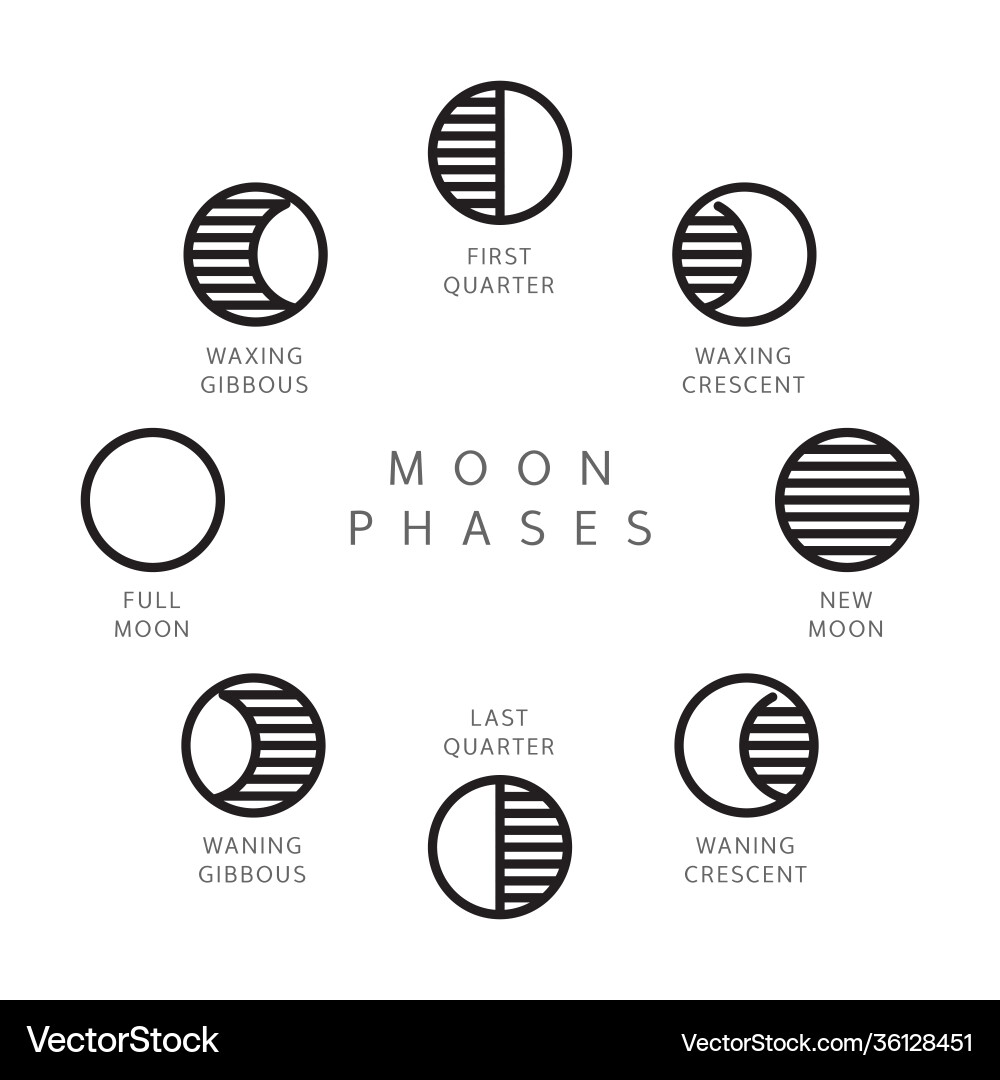 Moon phases line icons set Royalty Free Vector Image