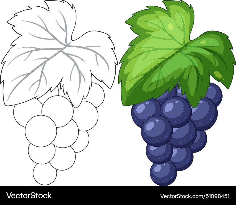 Showing transformation from line art to colored Vector Image