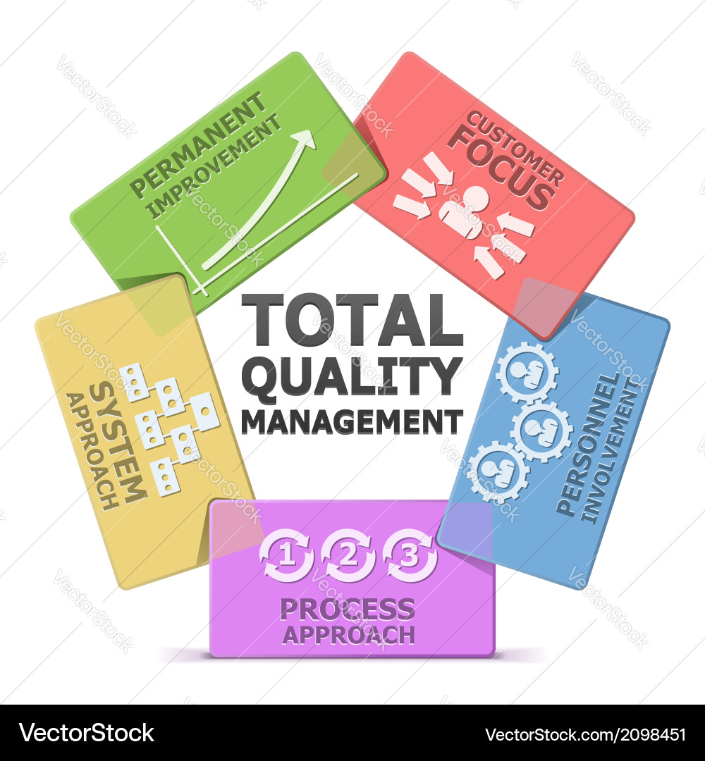 Tqm system Royalty Free Vector Image - VectorStock