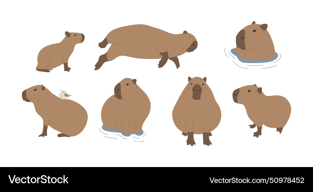 Capybara 5 Royalty Free Vector Image - VectorStock