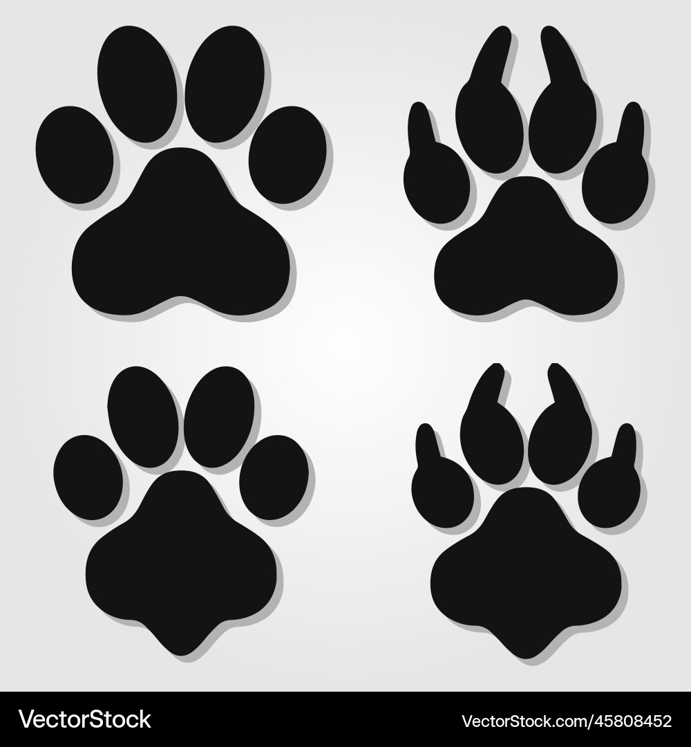 Different footprints of big cats set Royalty Free Vector