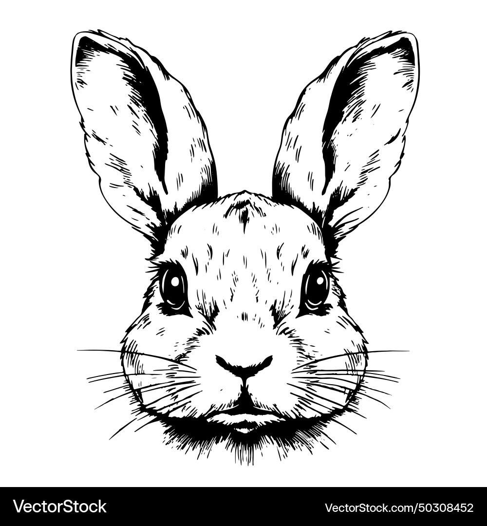 Face rabbit portrait Royalty Free Vector Image