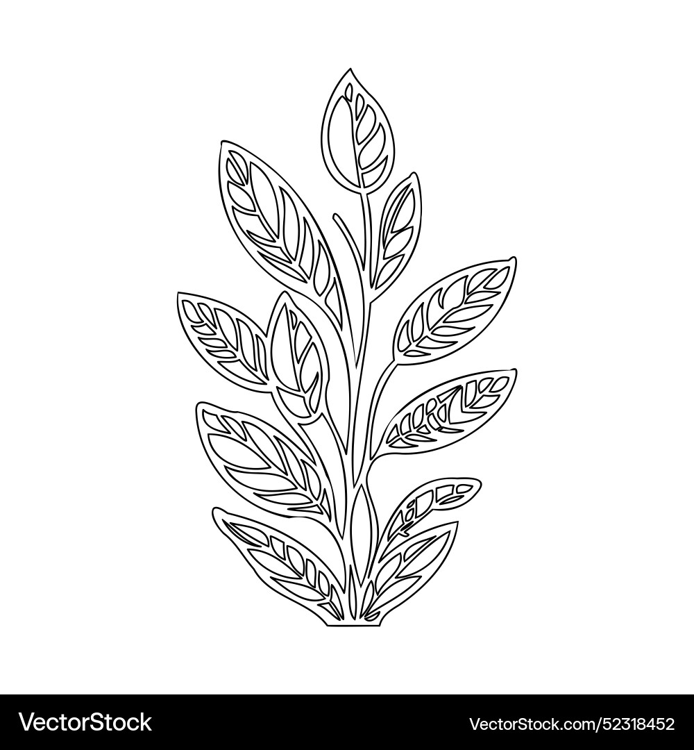 Flower plant outline sketch Royalty Free Vector Image