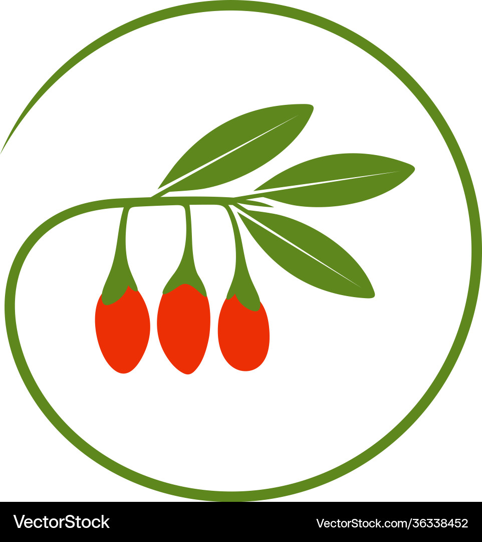 Goji Royalty Free Vector Image - VectorStock