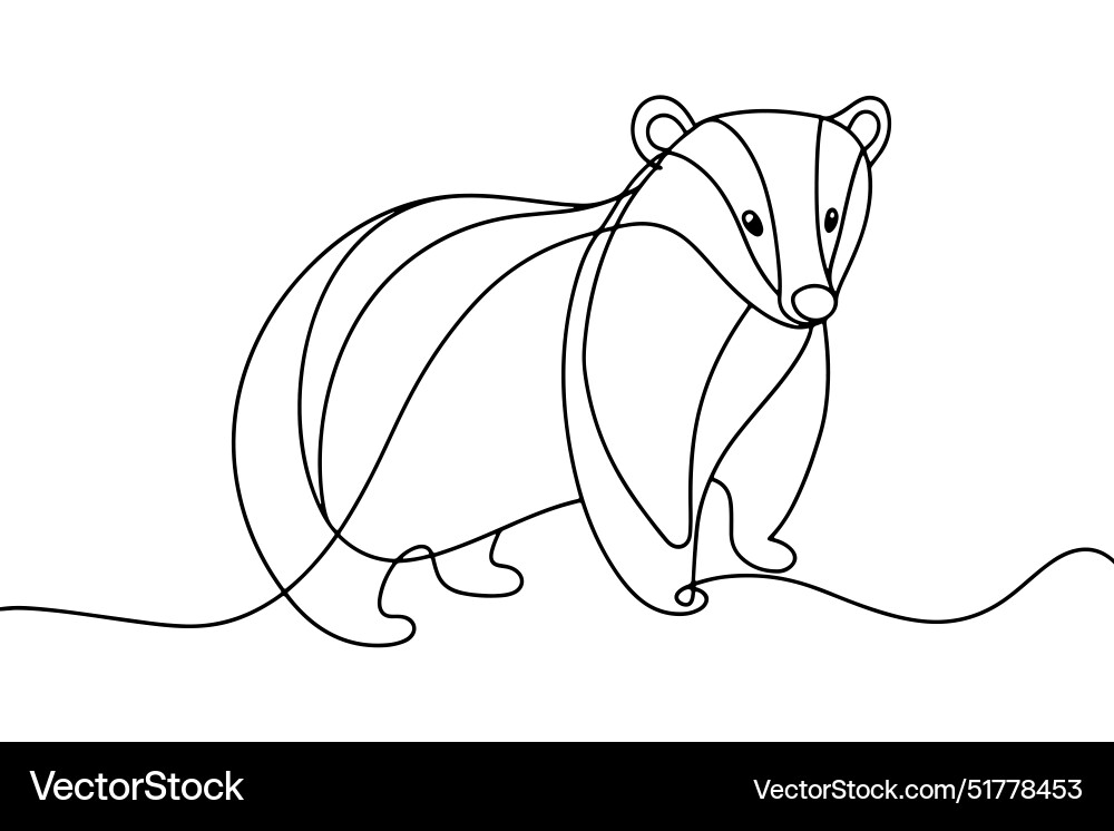 Badger continuous line art on white background Vector Image