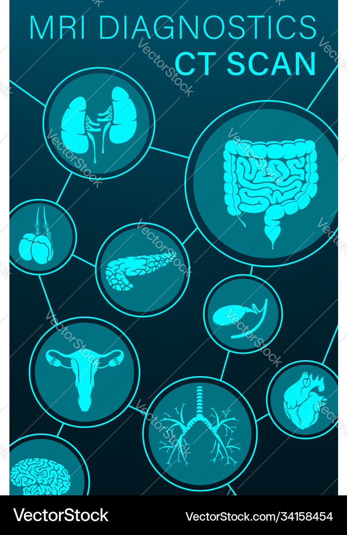 Mri diagnostics and ct scan services banner Vector Image