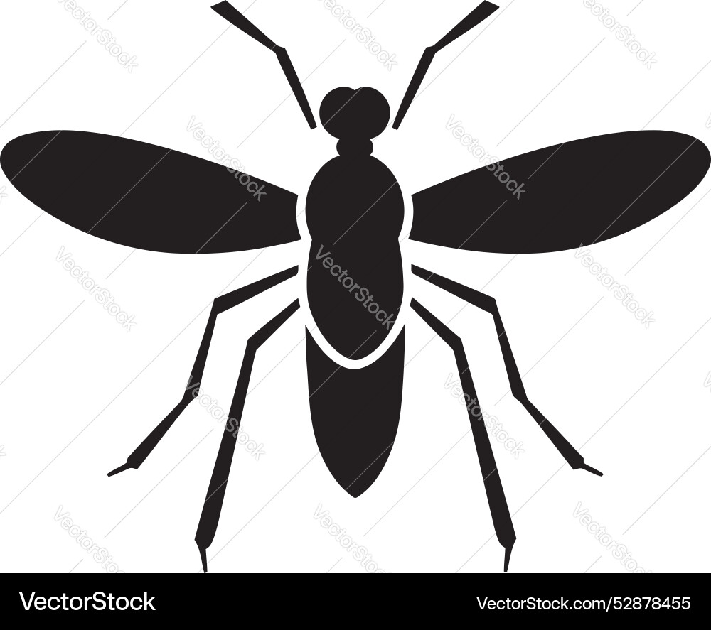 Elegant mosquito iconography clean mosquito Vector Image
