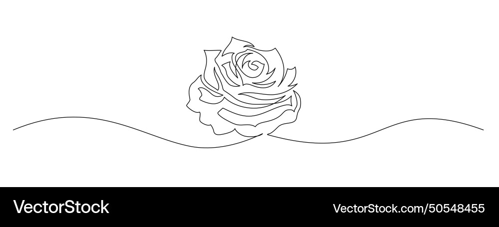 One continuous line drawing of rose flower peony Vector Image