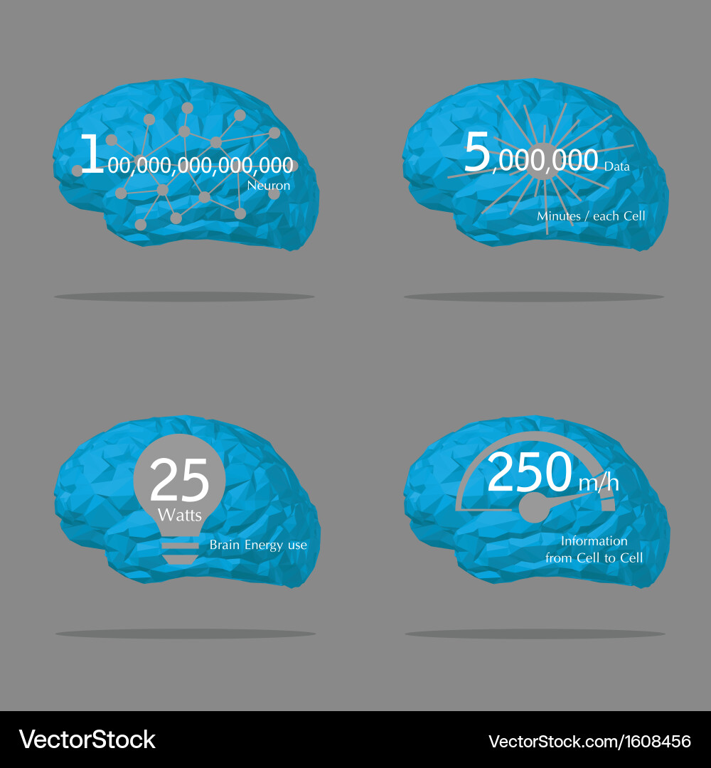 Braininformation Royalty Free Vector Image - VectorStock