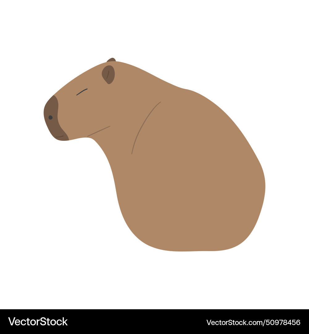 Capybara single 1 Royalty Free Vector Image - VectorStock