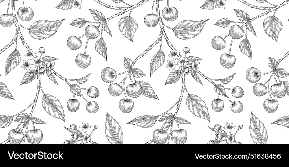Cherry pattern black and white Royalty Free Vector Image