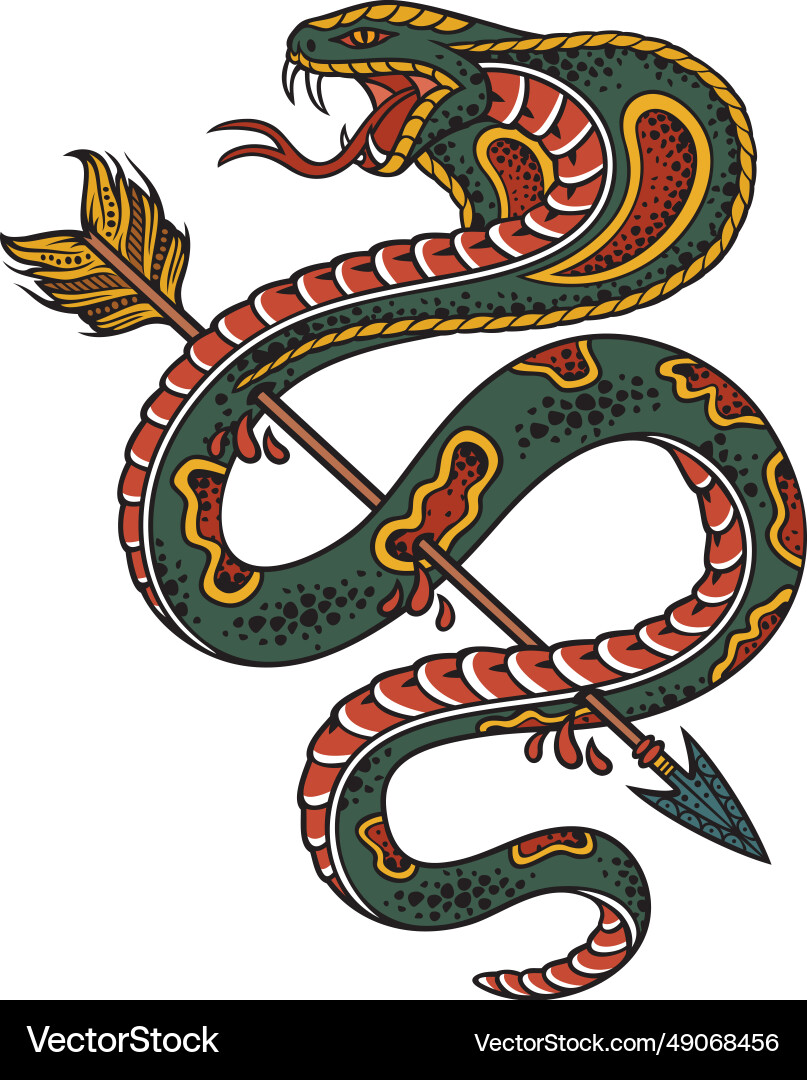 Cobra snake pierced with an arrow Royalty Free Vector Image