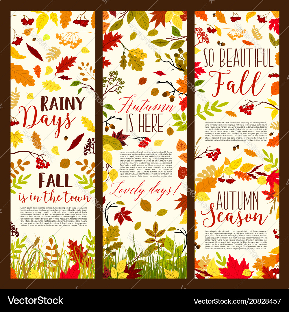 Autumn or fall seasonal banners set Royalty Free Vector