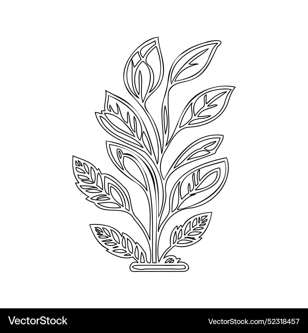 Flower plant outline sketch Royalty Free Vector Image