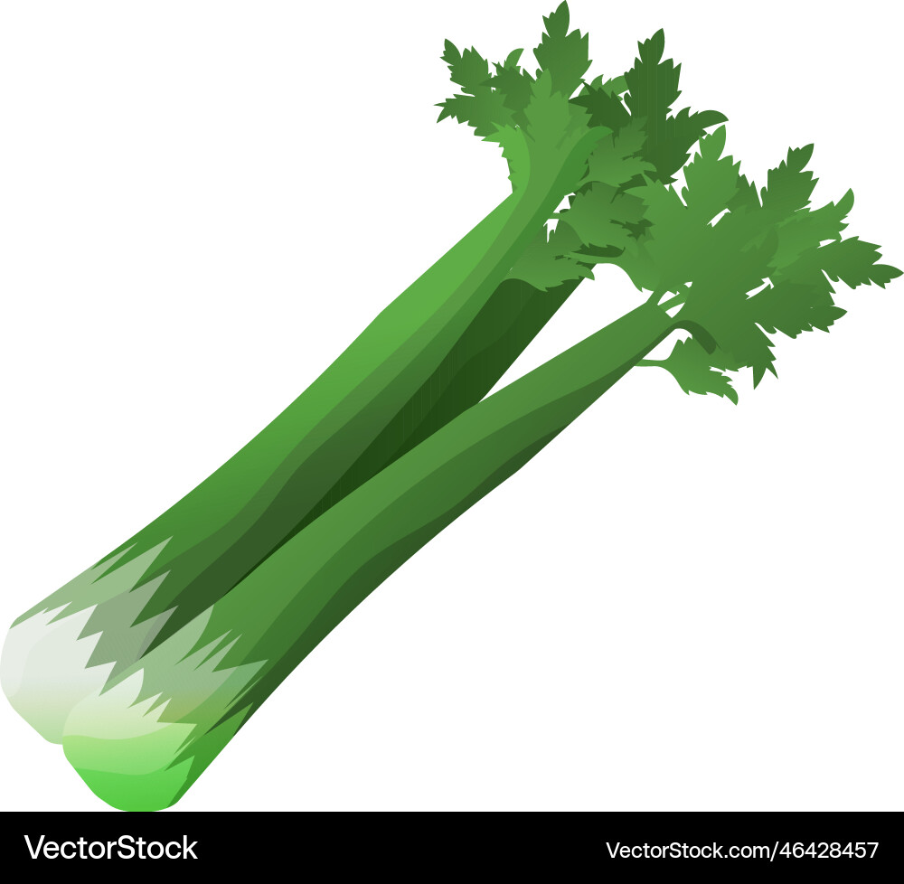 Frisches Sellerie-Symbol Lizenzfreies Vektorbild