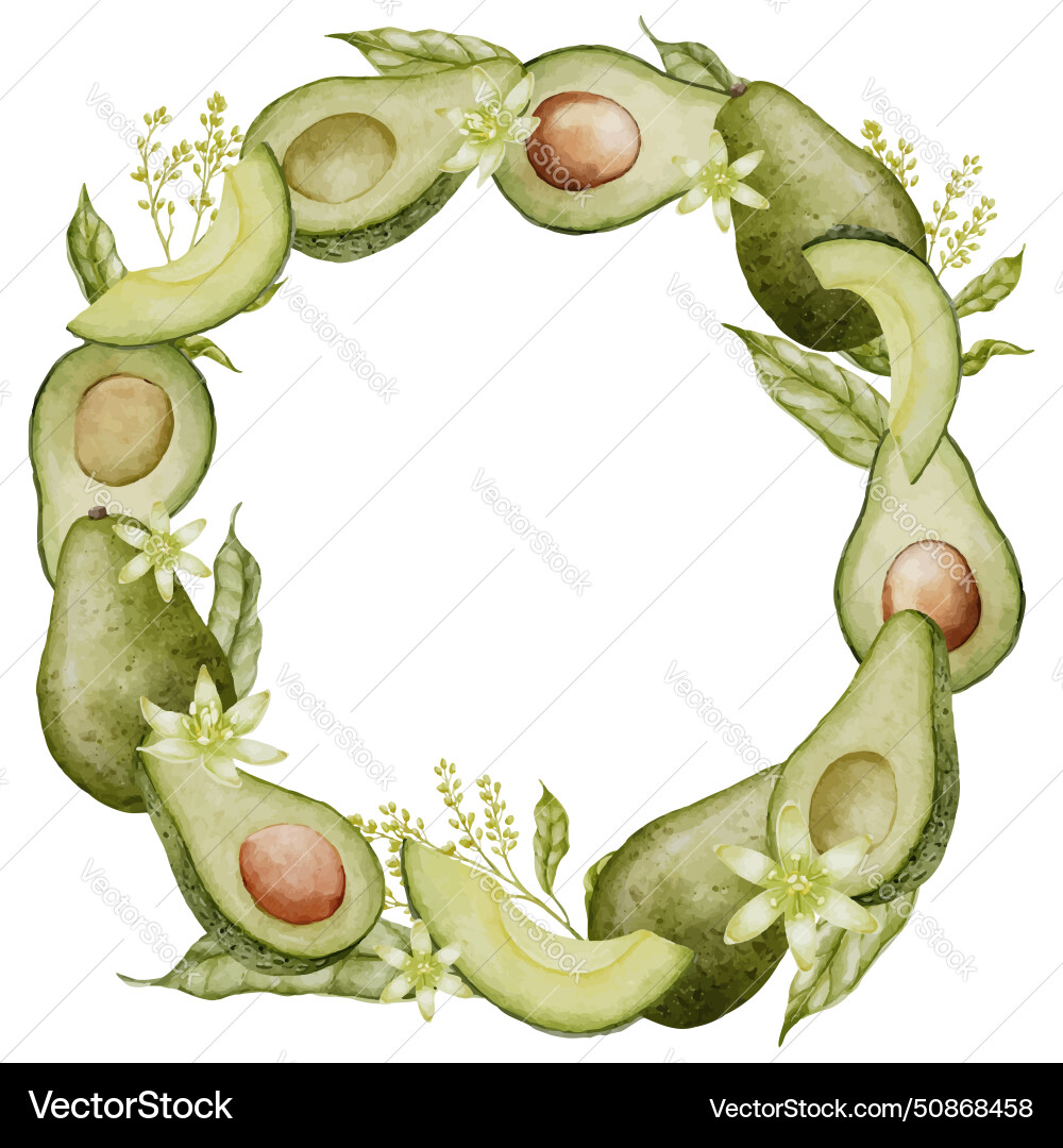 Avocado circular frame border watercolor wreath Vector Image