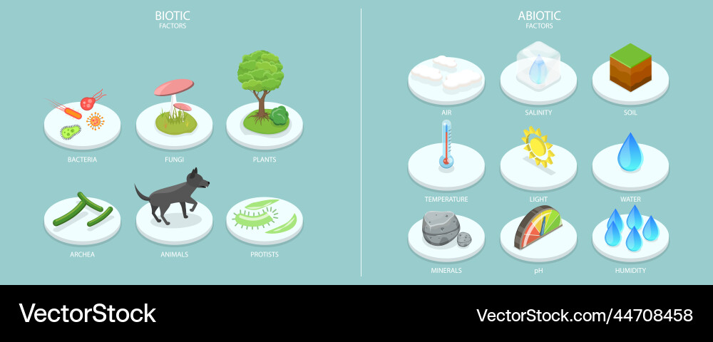 Biotic & Abiotic Factors Chart Royalty Free Vector Image