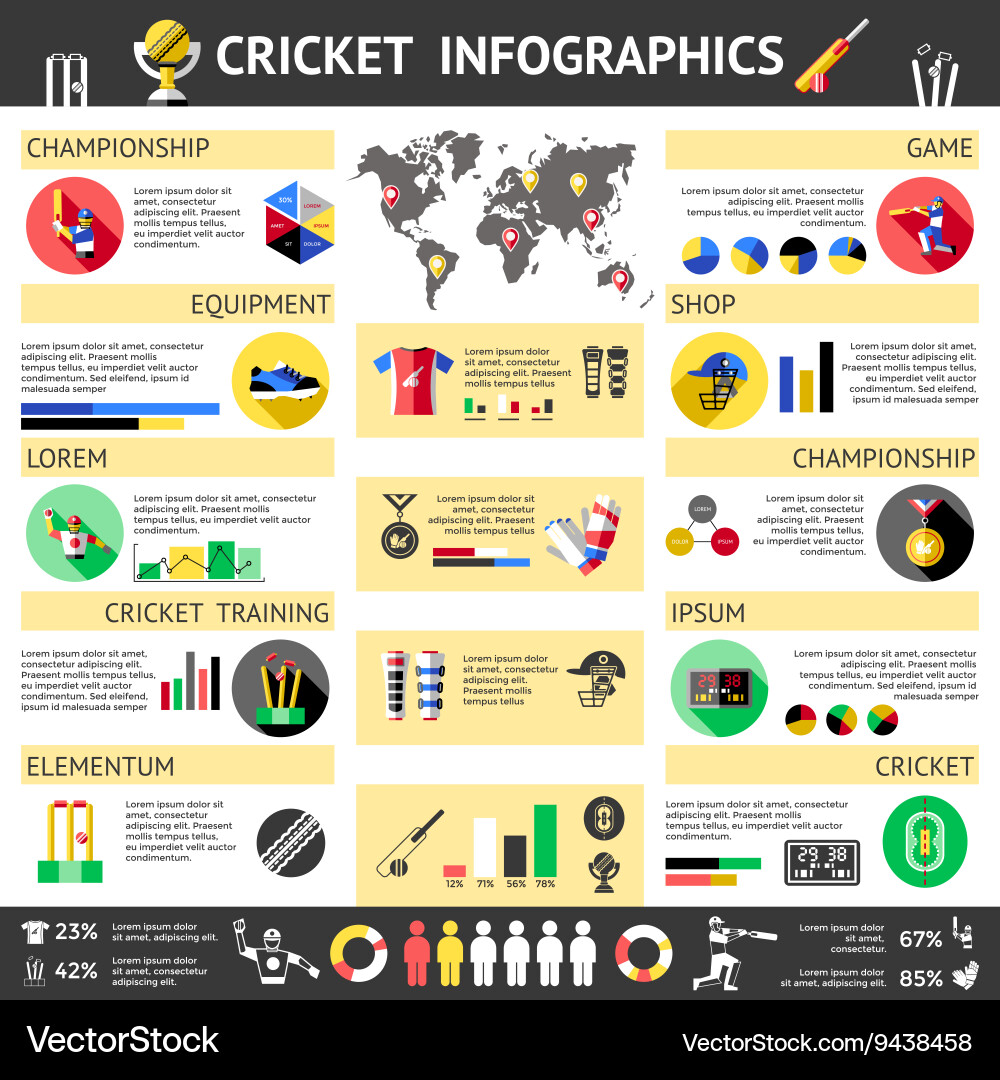 Cricket colored infographics Royalty Free Vector Image