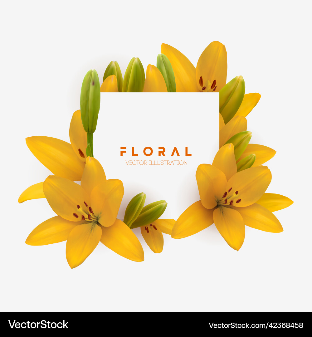 Yellow lily flower bouquet isolated Royalty Free Vector