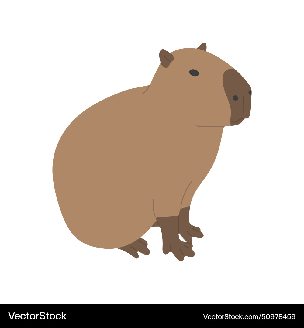 Capybara single 11 Royalty Free Vector Image - VectorStock