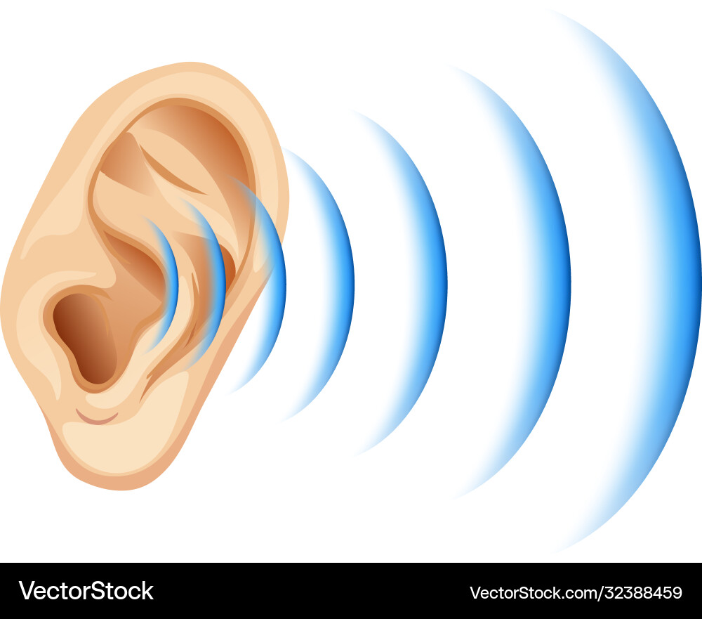 Ear Sound Waves Clipart 60+ Ear Sound Waves Abstract Stock