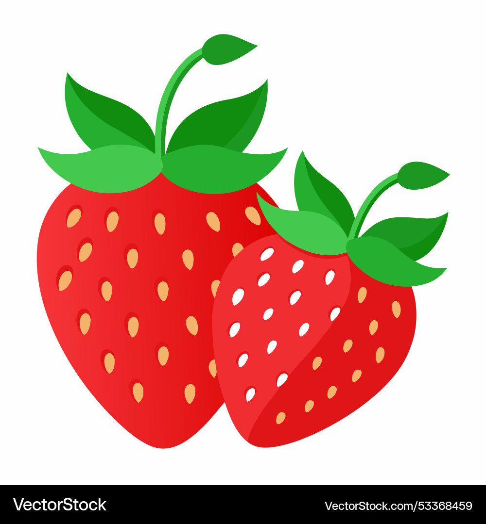 Strawberry fruits Royalty Free Vector Image - VectorStock