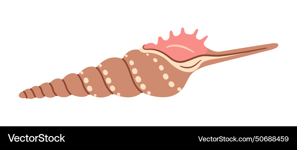 Tibia seashell hand drawn cartoon style flat Vector Image