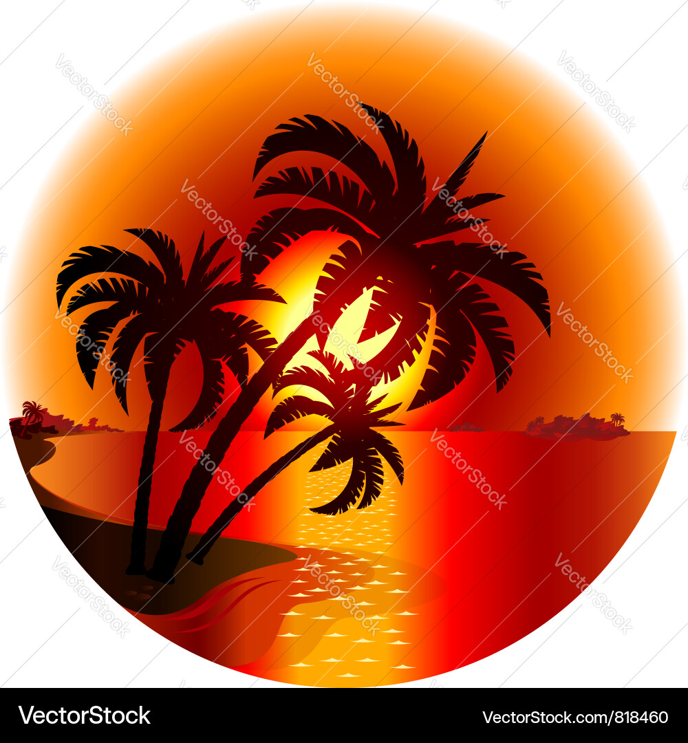 Sunset on a tropical island Royalty Free Vector Image