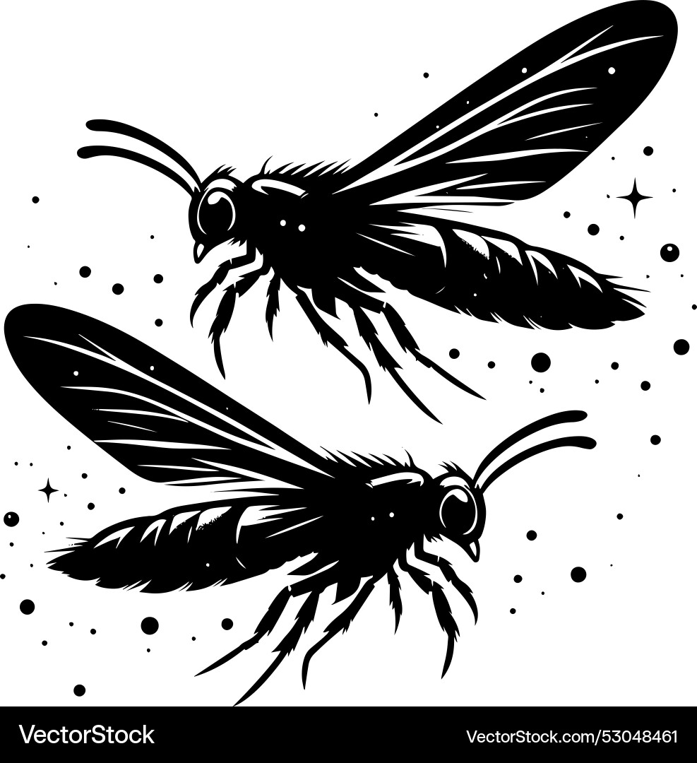 Beautiful firefly insect silhouette isolated on a Vector Image