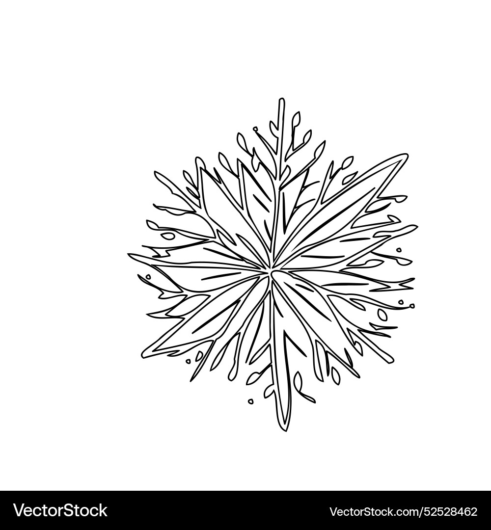 Snow flake outline sketch Royalty Free Vector Image