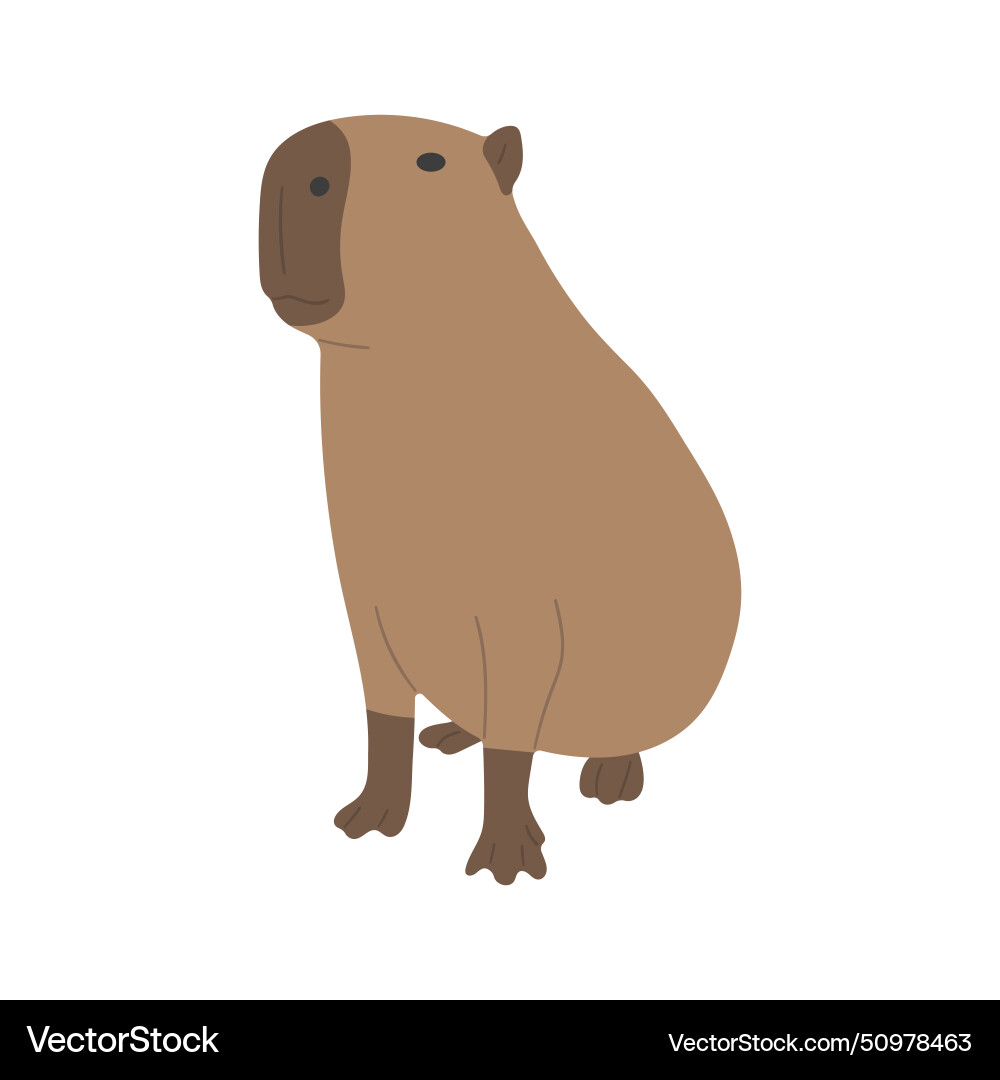 Capybara single 15 Royalty Free Vector Image - VectorStock