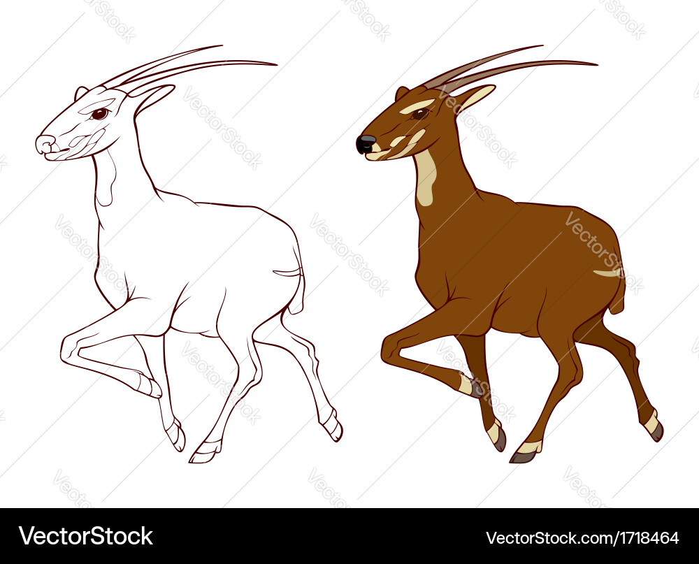 Saola Royalty Free Vector Image - VectorStock