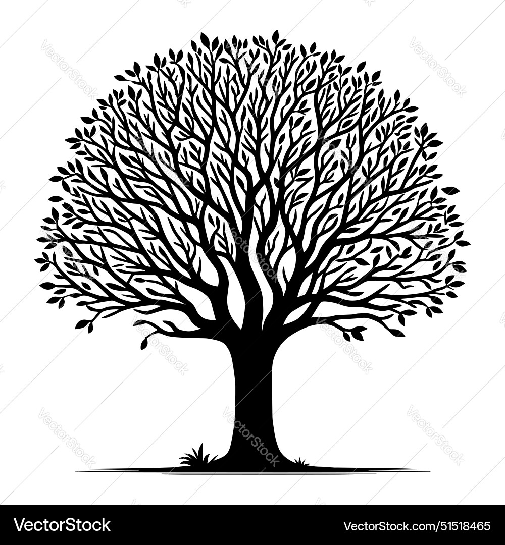 Beautiful round shaped tree silhouette Royalty Free Vector