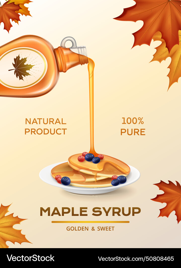 Maple syrup composition Royalty Free Vector Image