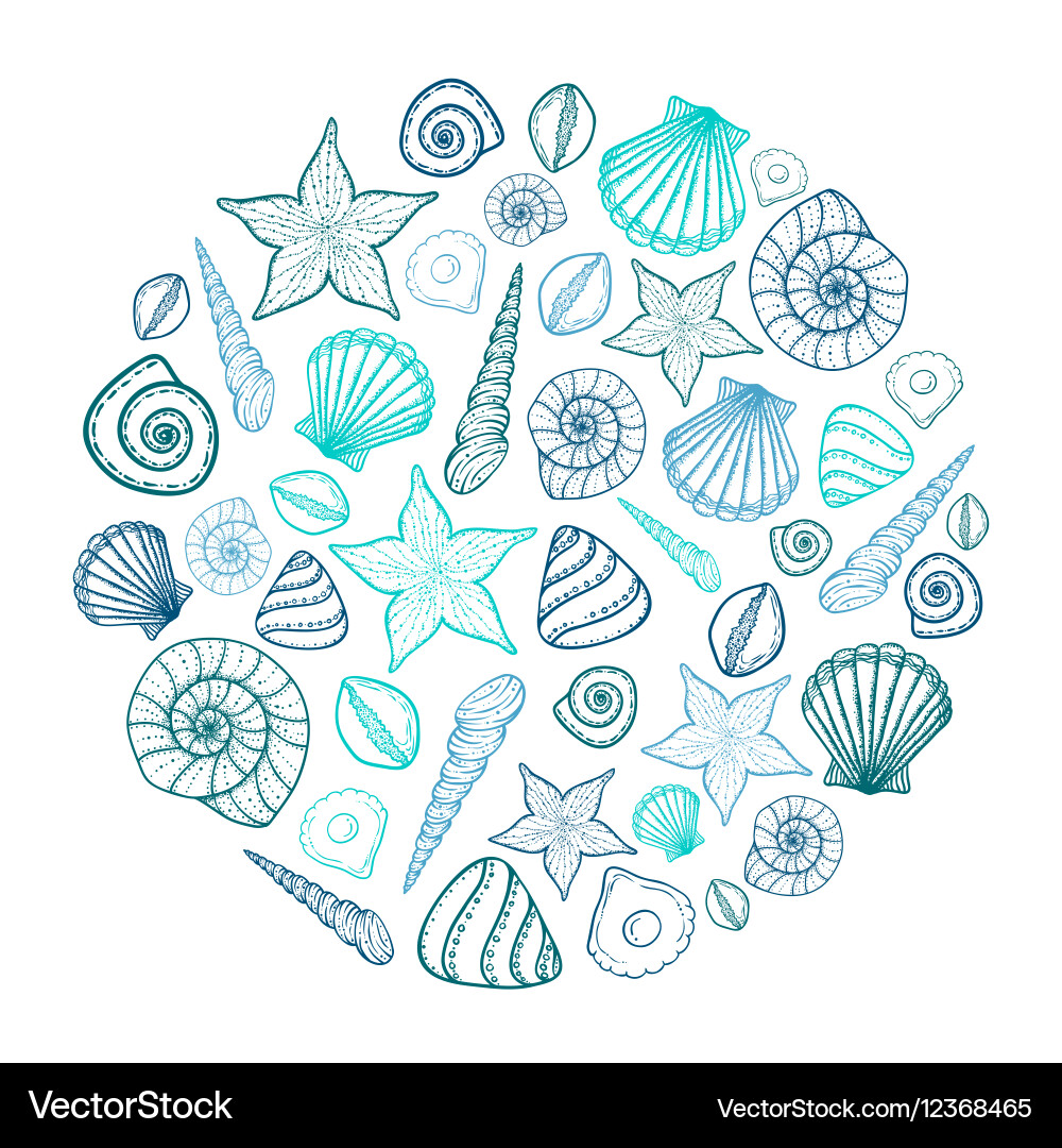 Poster with seashells and starfishes marine Vector Image