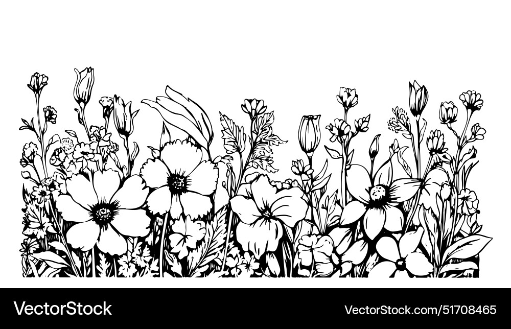 Wild flower field border hand drawn Royalty Free Vector
