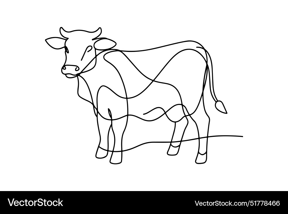 Cow continuous line art on white background Vector Image