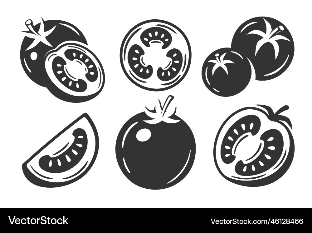 Tomatoes collection isolated on white background Vector Image