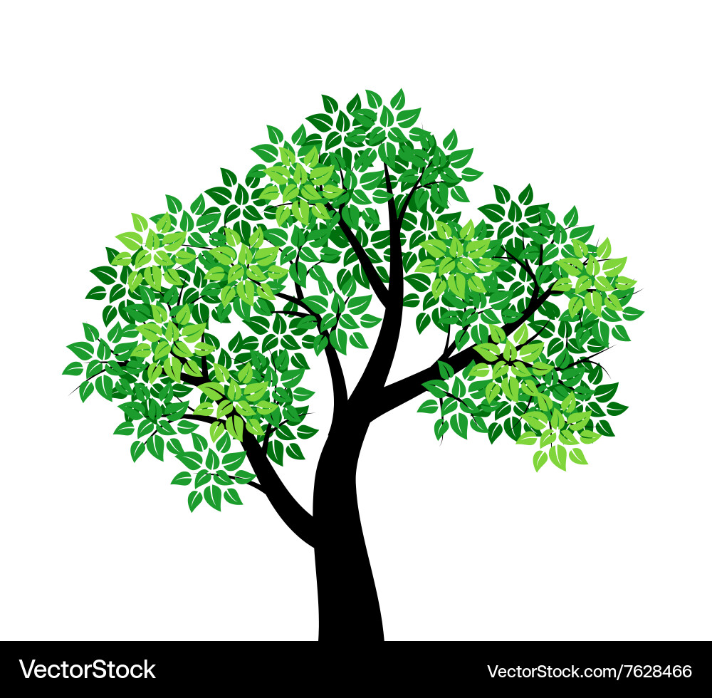 Tree leaves Royalty Free Vector Image - VectorStock