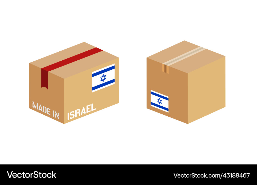 Box with israel flag icon set cardboard delivery Vector Image
