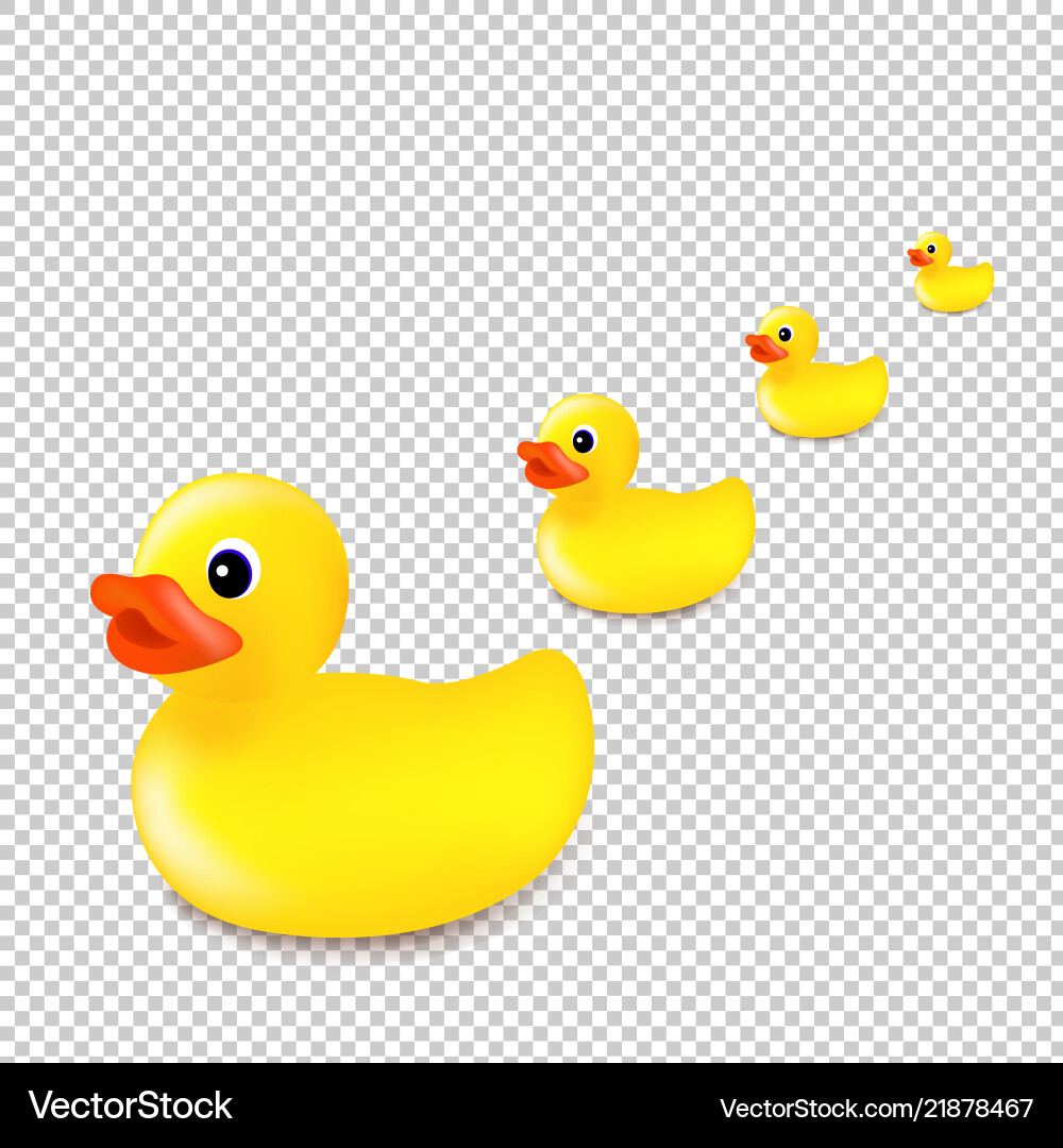 Colorful Rubber Ducks – Royalty-Free Vector | VectorStock