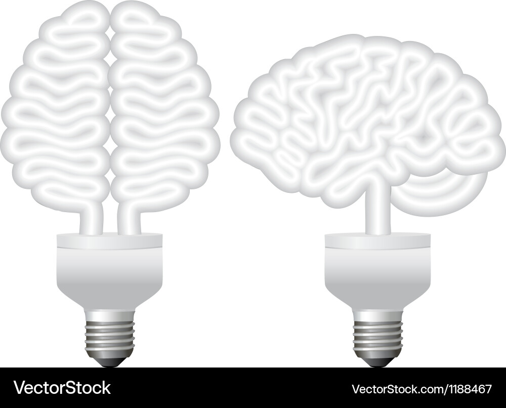 Human brain bulb Royalty Free Vector Image - VectorStock