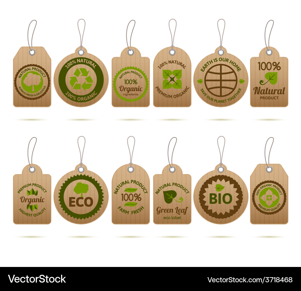 Ecology cardboard tags Royalty Free Vector Image