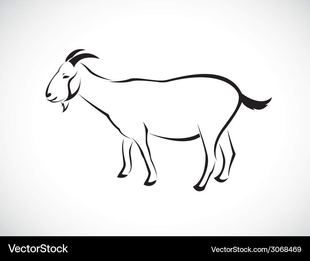 Goat Royalty Free Vector Image - VectorStock