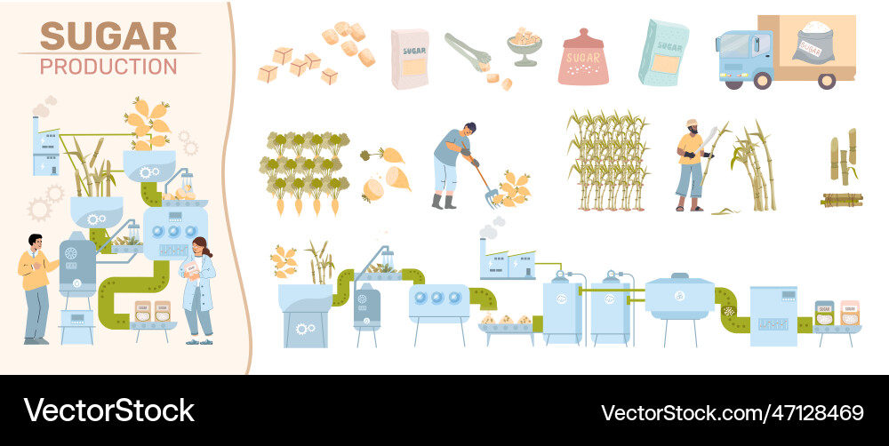 Sugar production flat compositions Royalty Free Vector Image