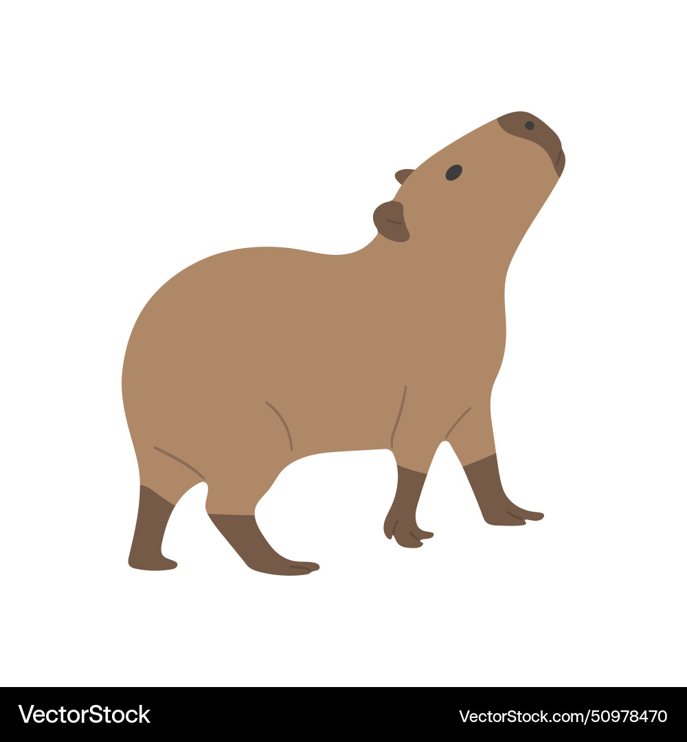 Capybara single 24 Royalty Free Vector Image - VectorStock