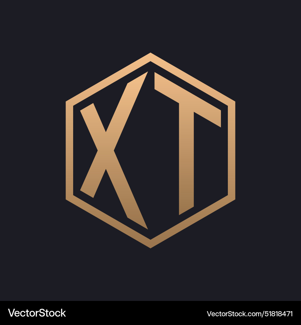 Elegant hexagon letter xt logo design initial Vector Image