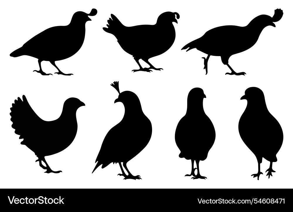 Set of quail silhouettes various poses Royalty Free Vector